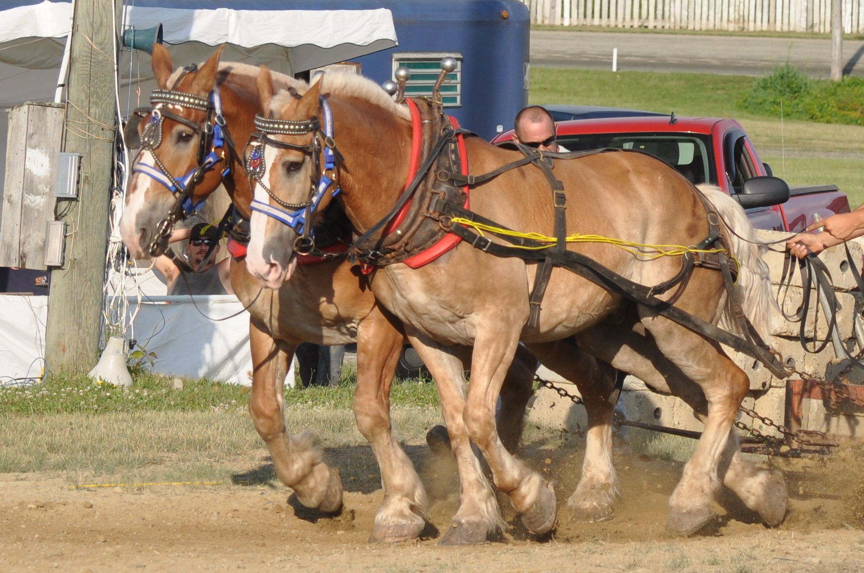 Horse Pull – Woodstock Old Home Week