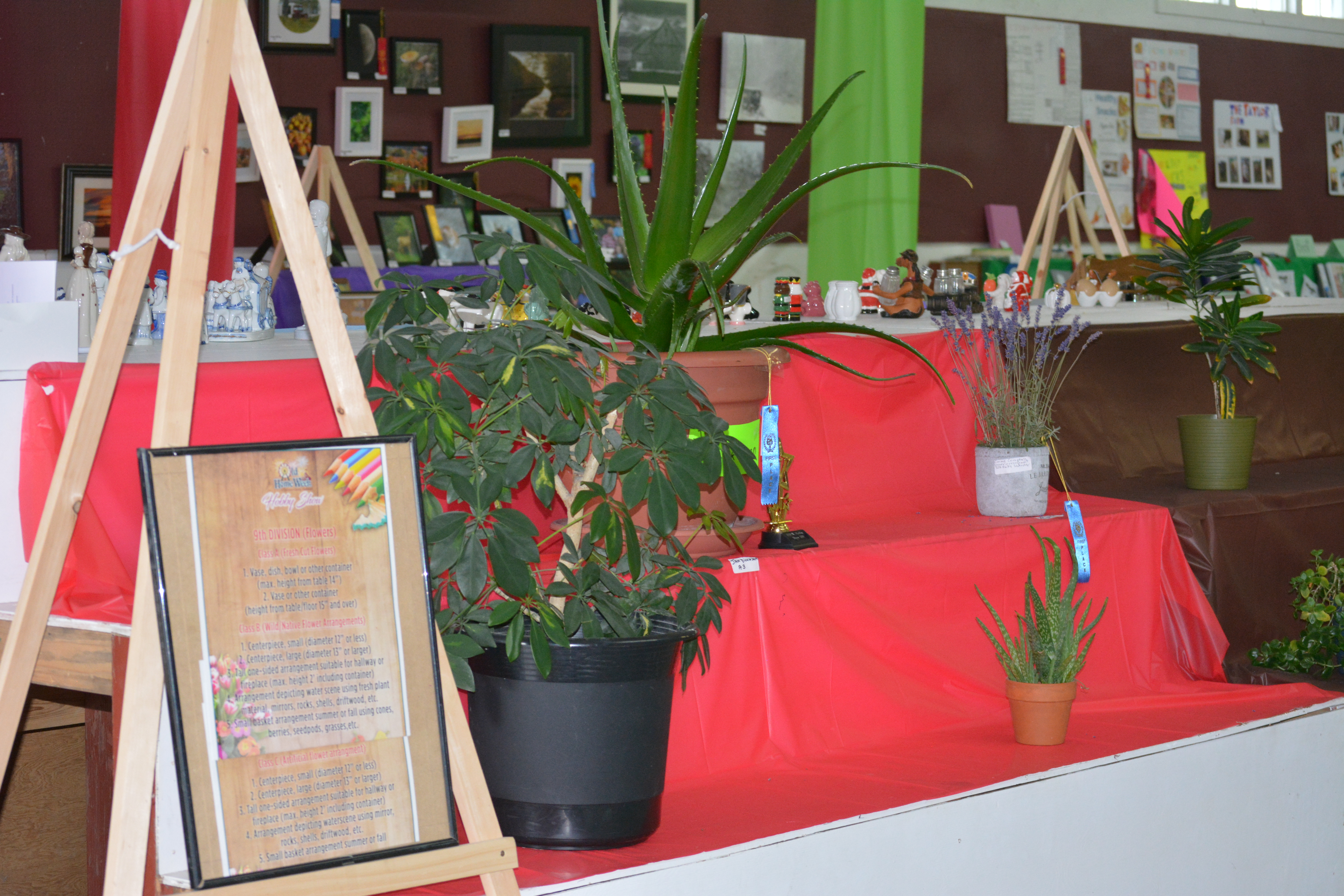 Hobby Show – Woodstock Old Home Week