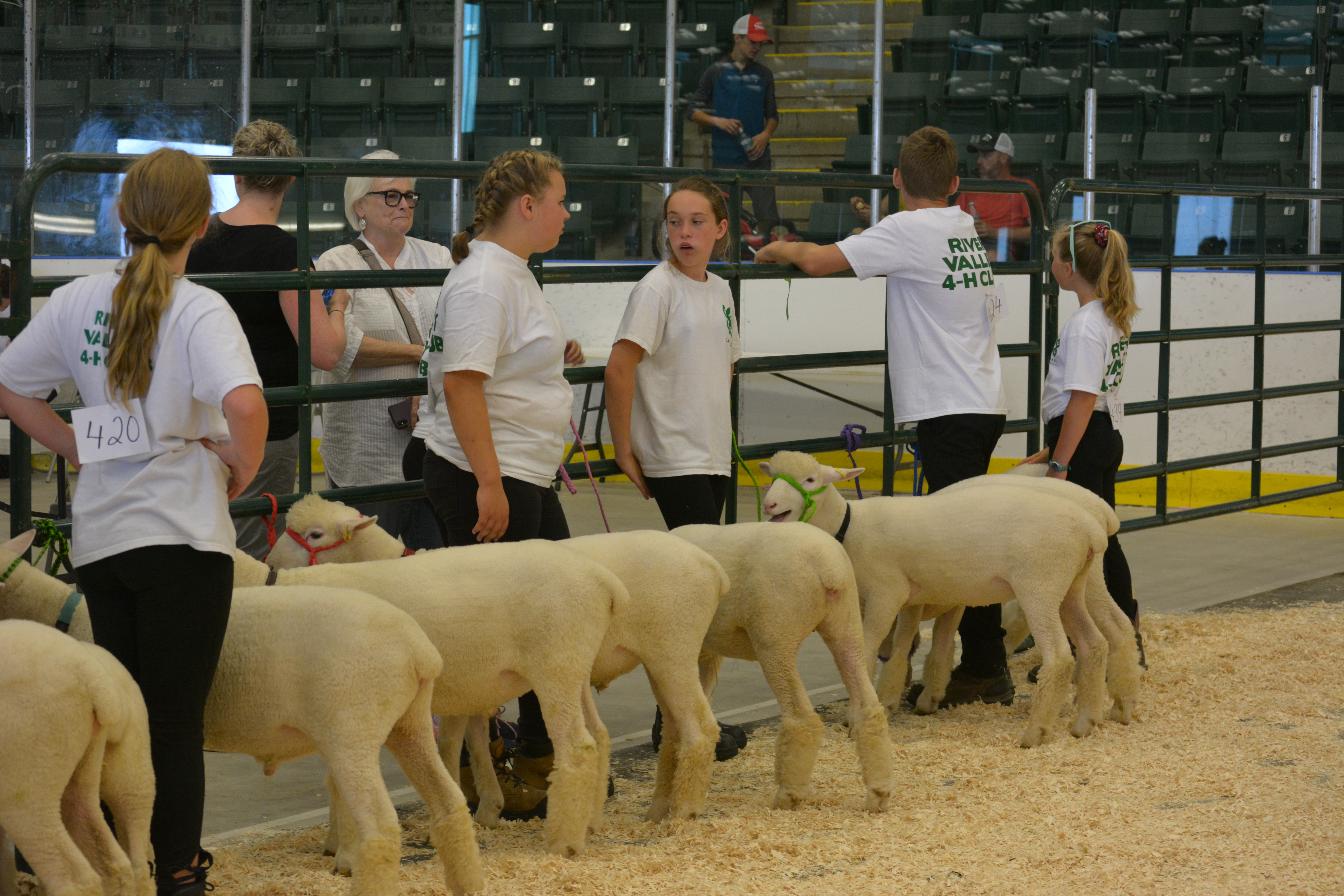 4-H Achievement Day – Woodstock Old Home Week
